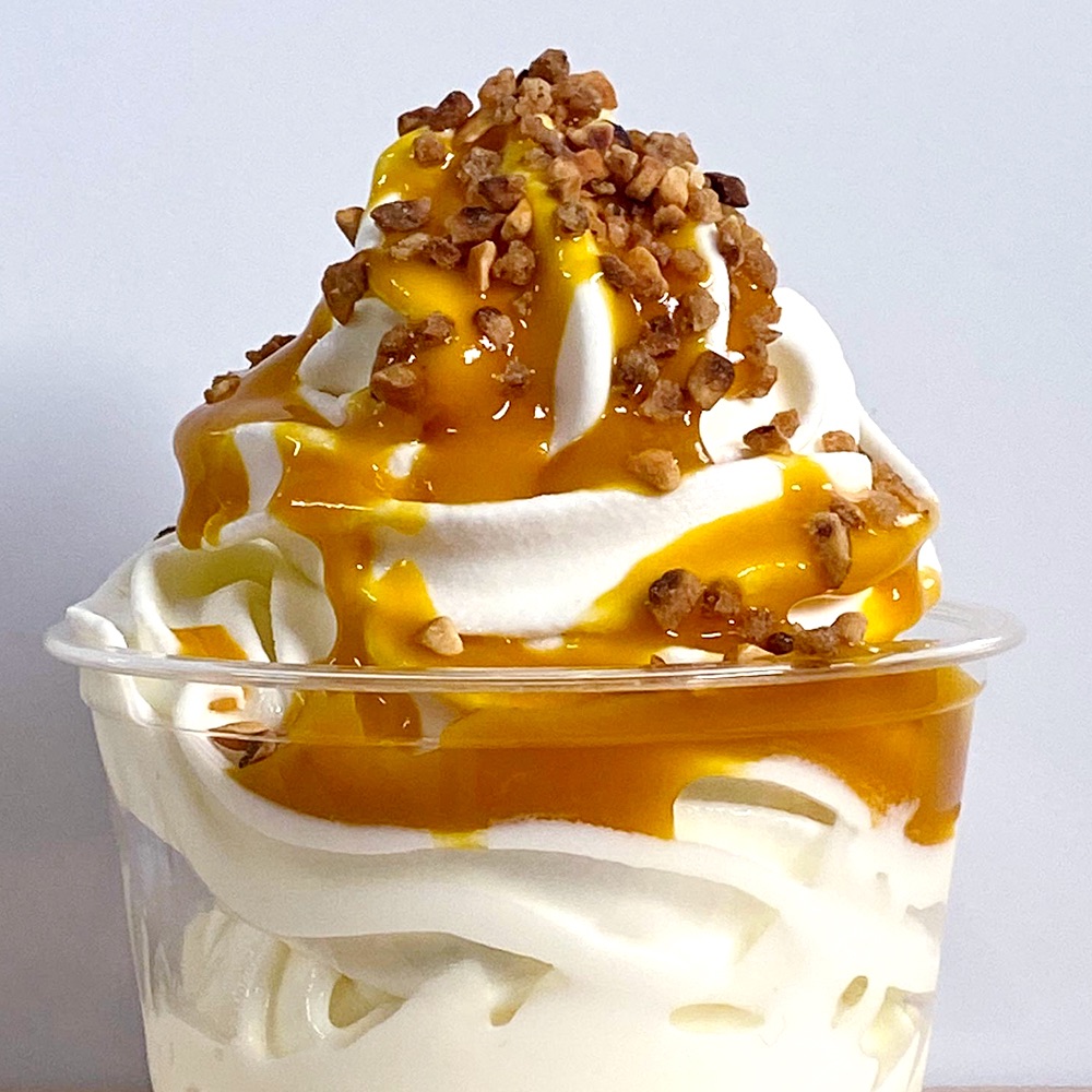 FROZEN JOGHURT FRISCHEIS